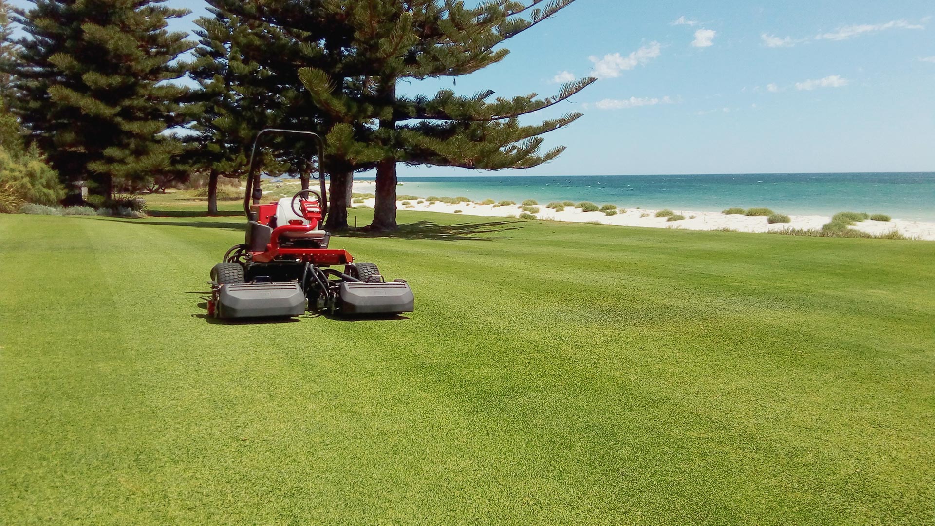 Lawn & Garden Care - Dunsborough Turf Management & Garden Service